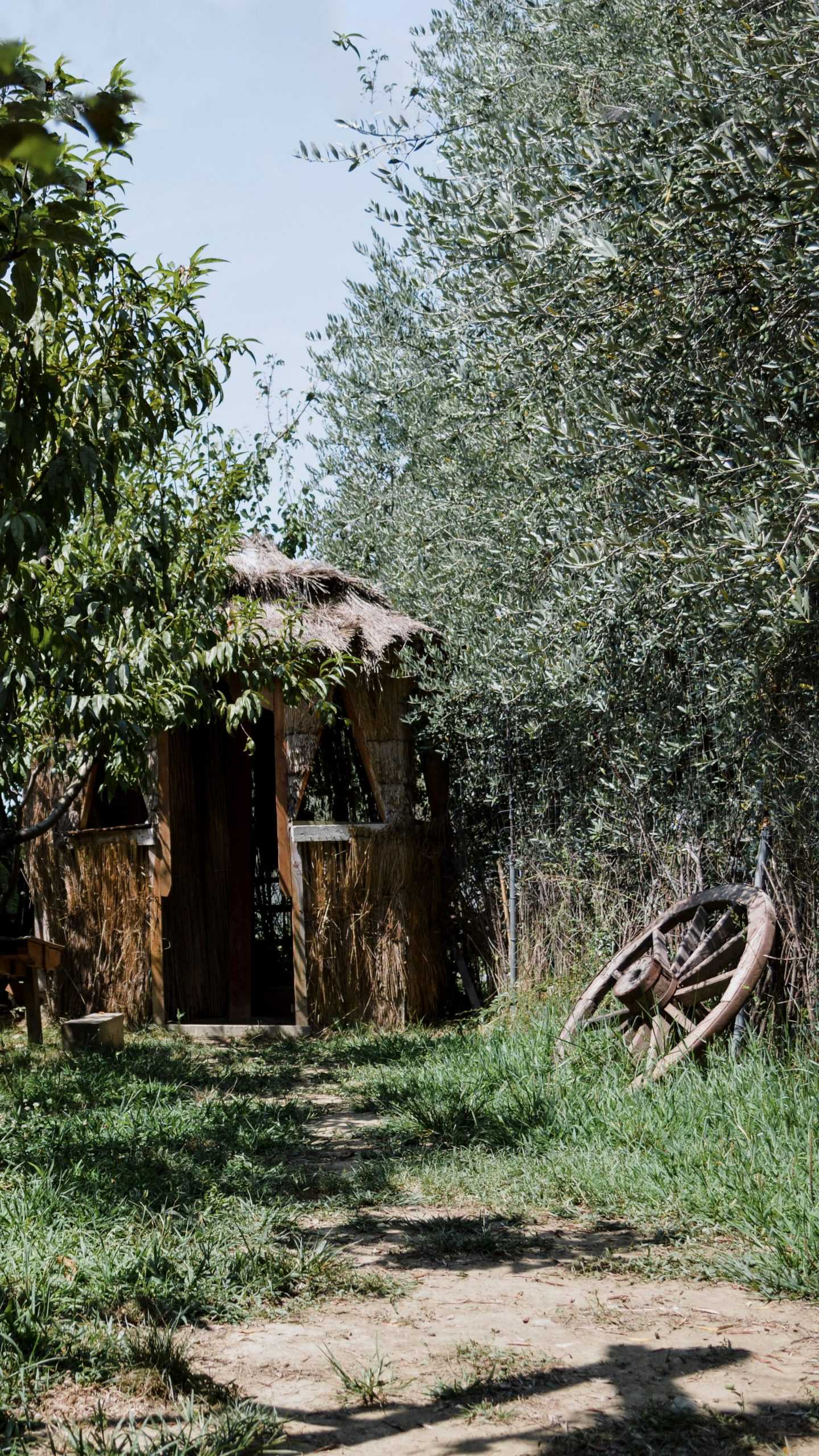 Blerina’s Farm – Agro Turizëm